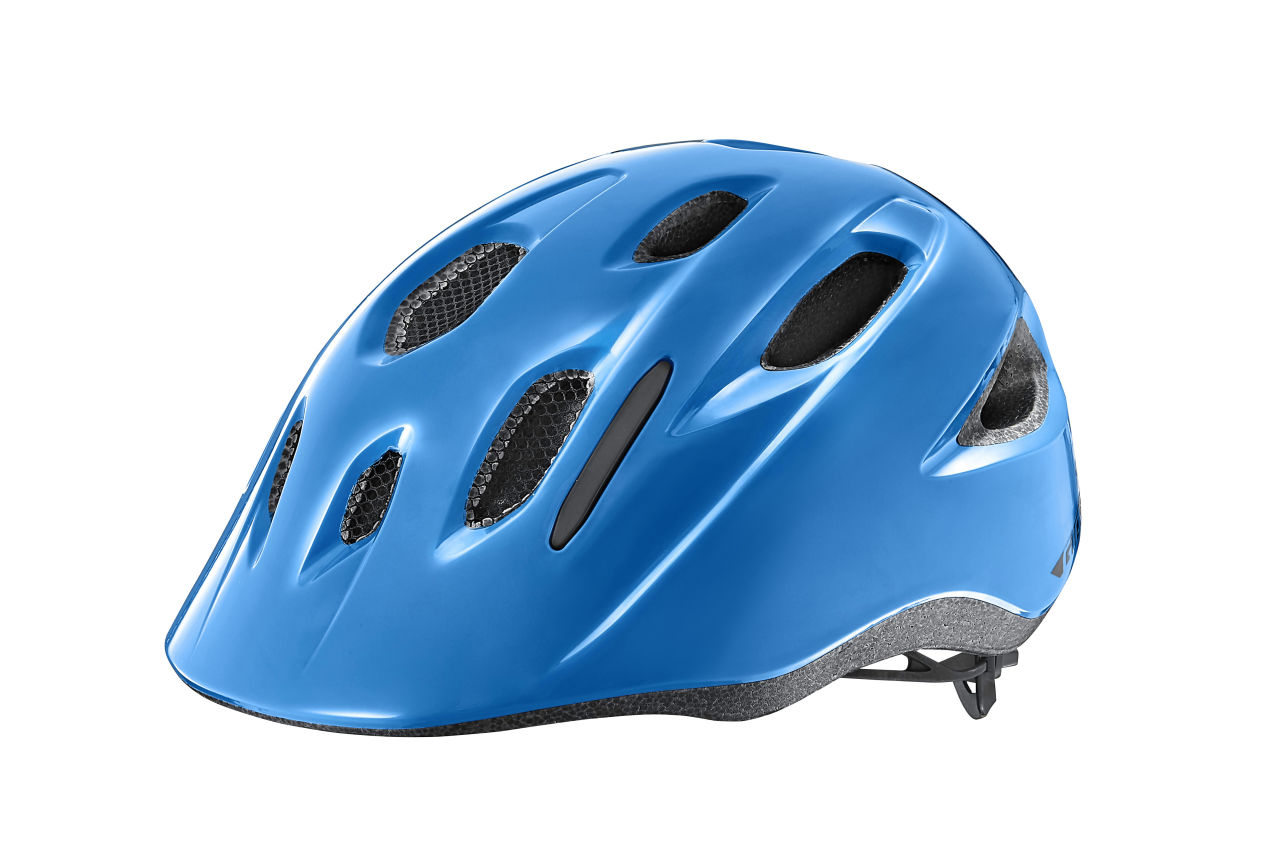 Arthur Caygill Cycles | Giant Hoot blue helmet